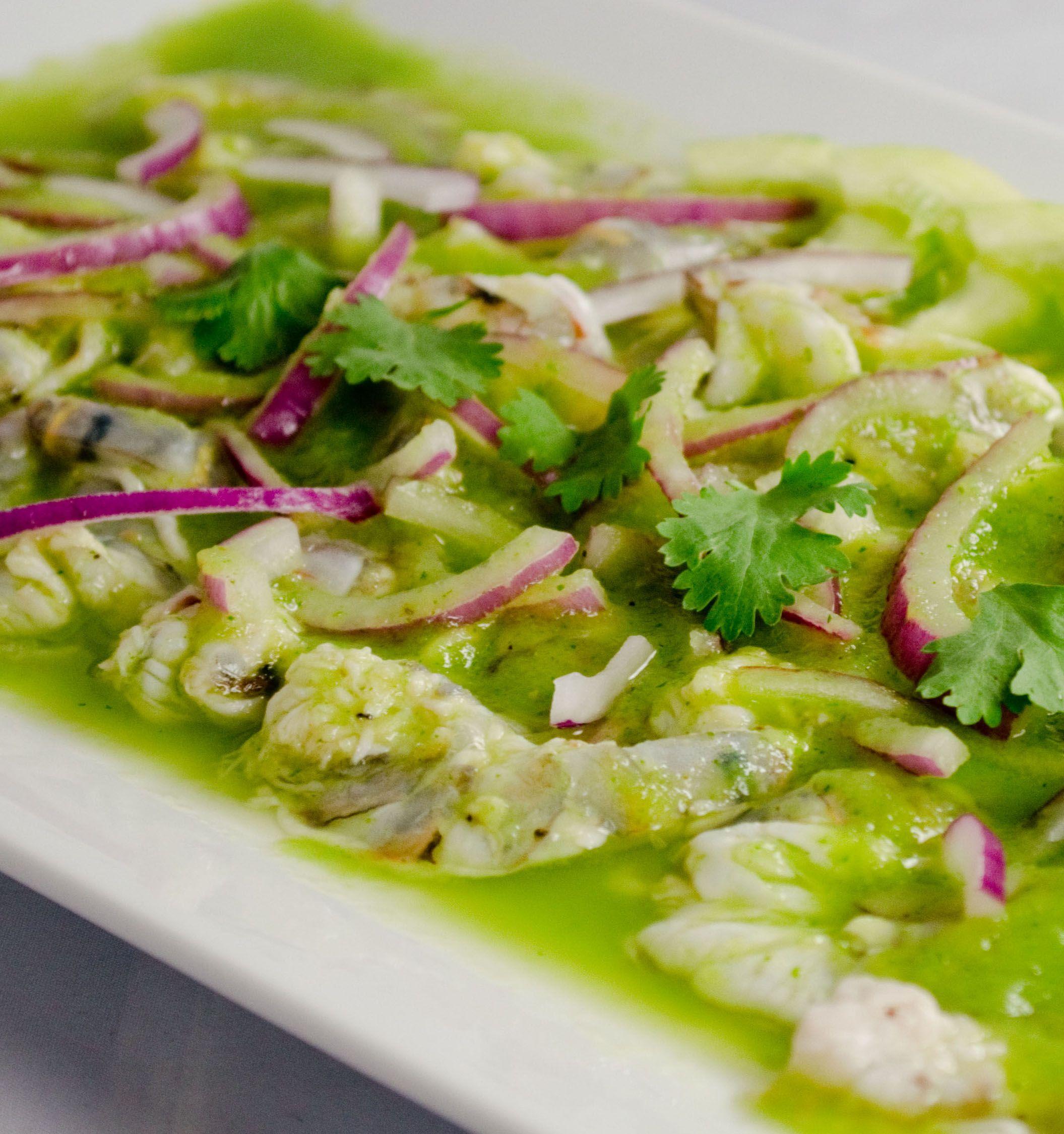 Ceviche Wallpapers - Wallpaper Cave