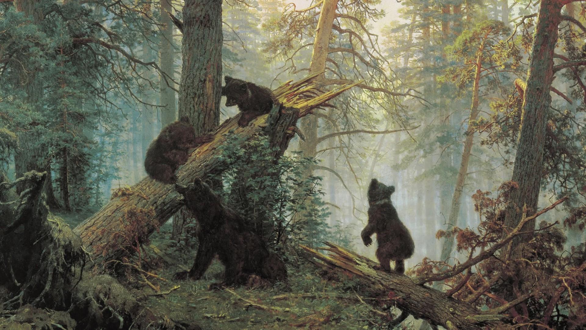 Pine Forest Wallpapers - Wallpaper Cave