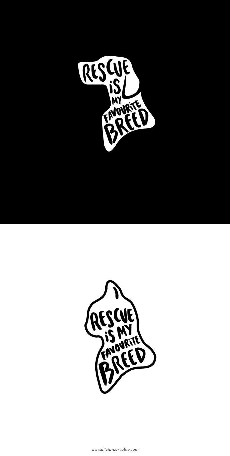 Veterinary Wallpapers - Wallpaper Cave