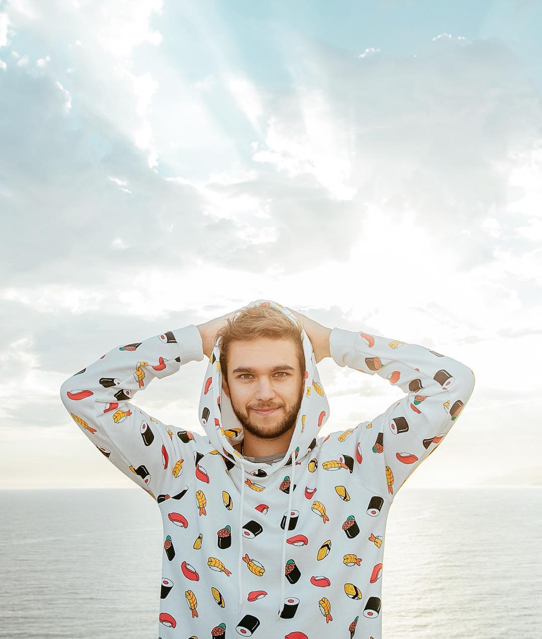 Zedd 2018 Wallpapers - Wallpaper Cave