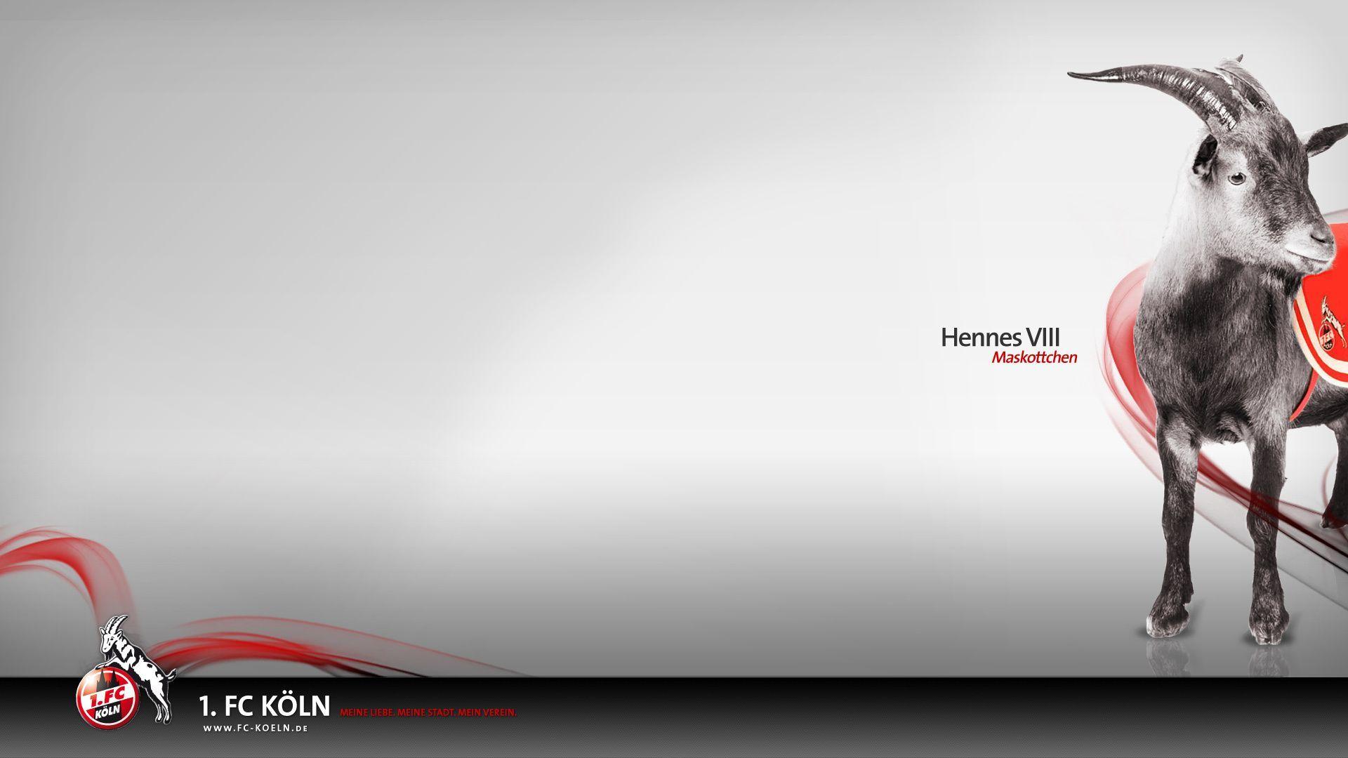 Köln Wallpapers - Wallpaper Cave