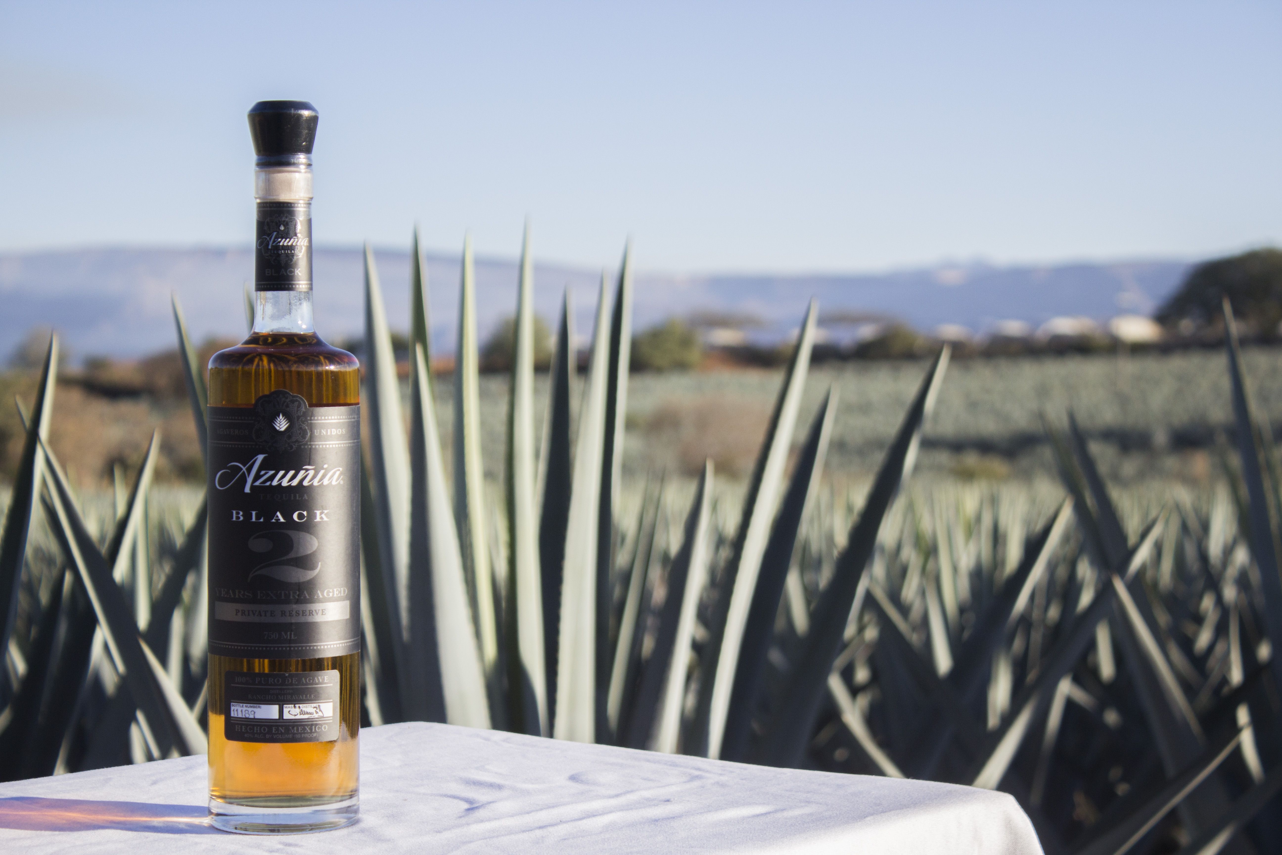 National Tequila Day Wallpapers - Wallpaper Cave