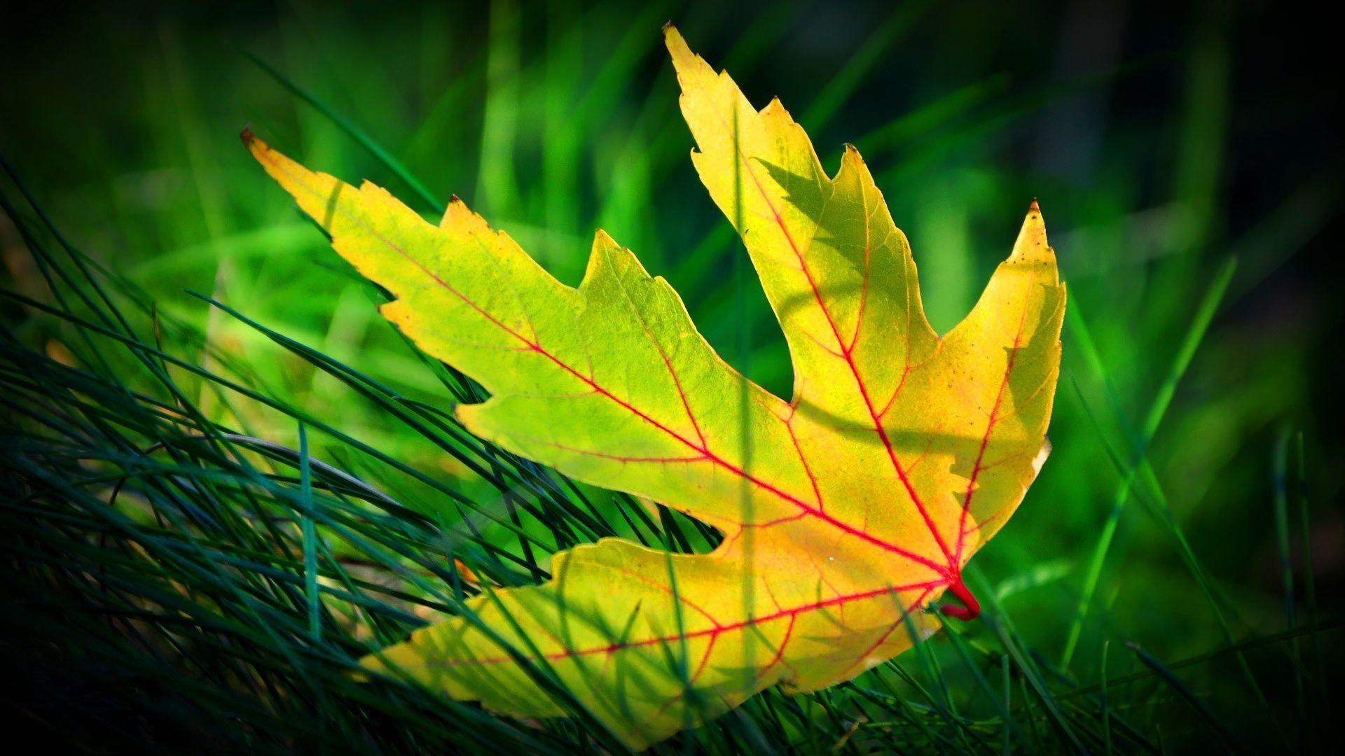 720p HD Wallpapers Wallpaper Cave 720p HD Wallpapers Wallpaper Cave