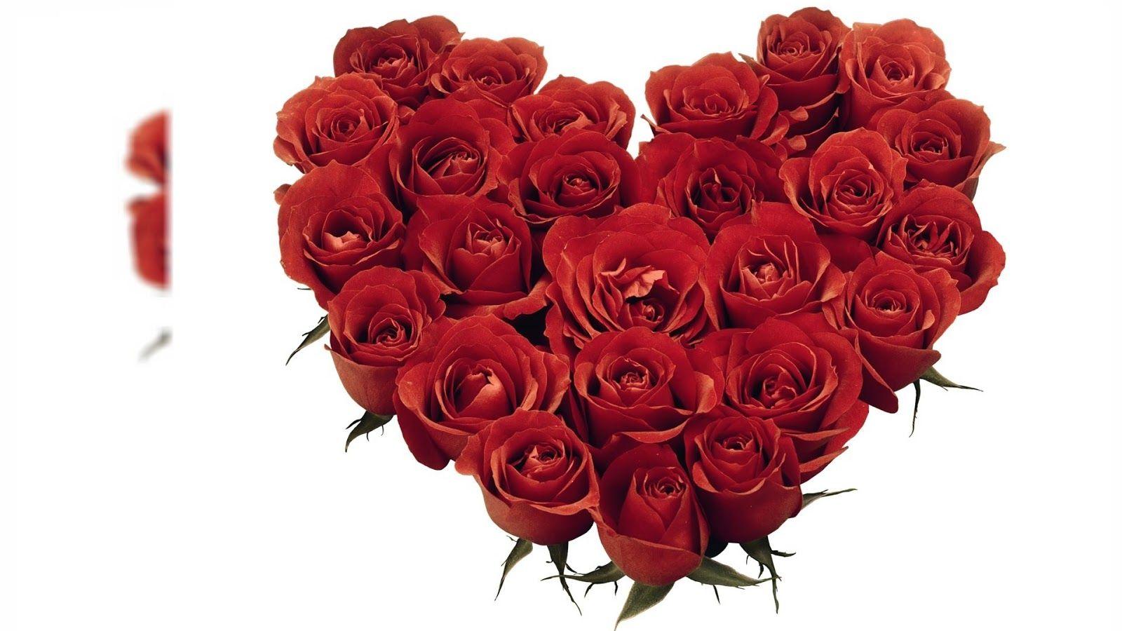 Rad Rose Wallpapers - Wallpaper Cave