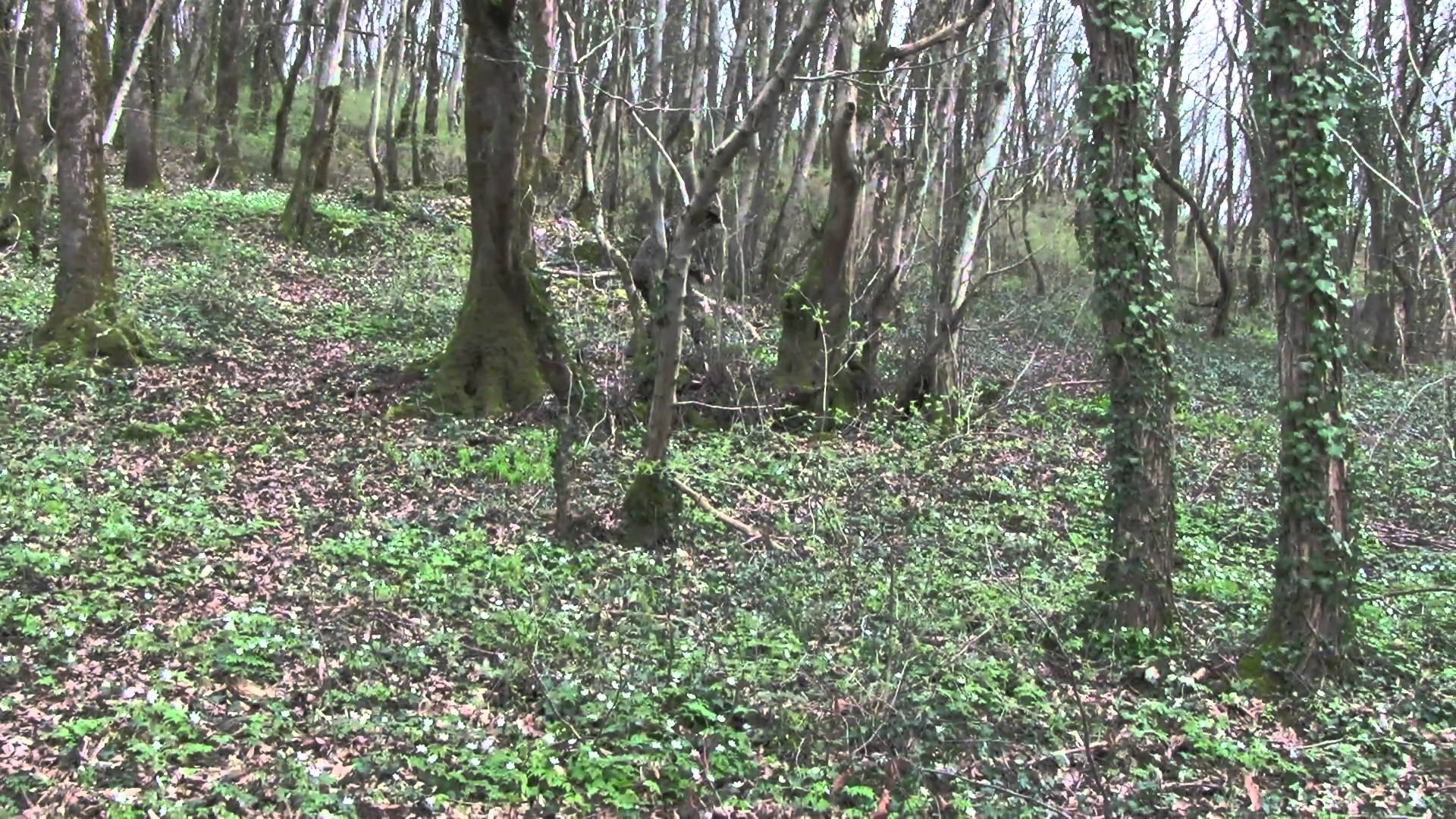 Woodland Digital Camo Wallpapers - Wallpaper Cave