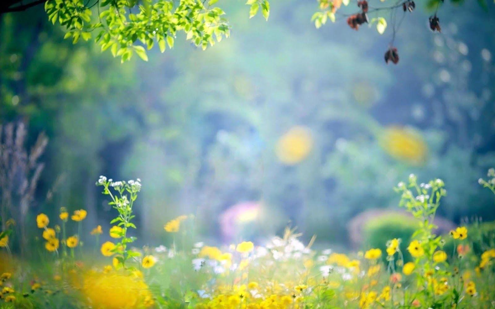 Latest Backgrounds - Wallpaper Cave