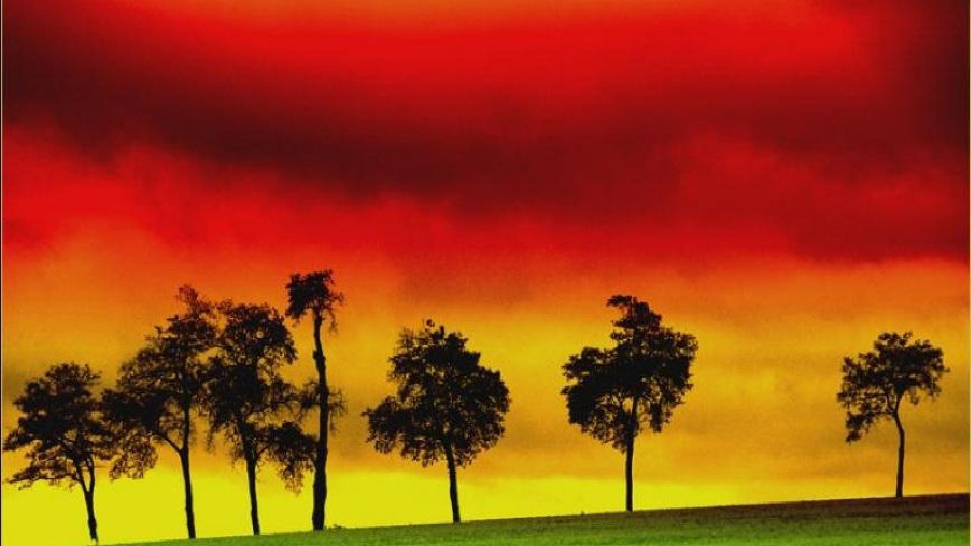 Regge Wallpapers - Wallpaper Cave