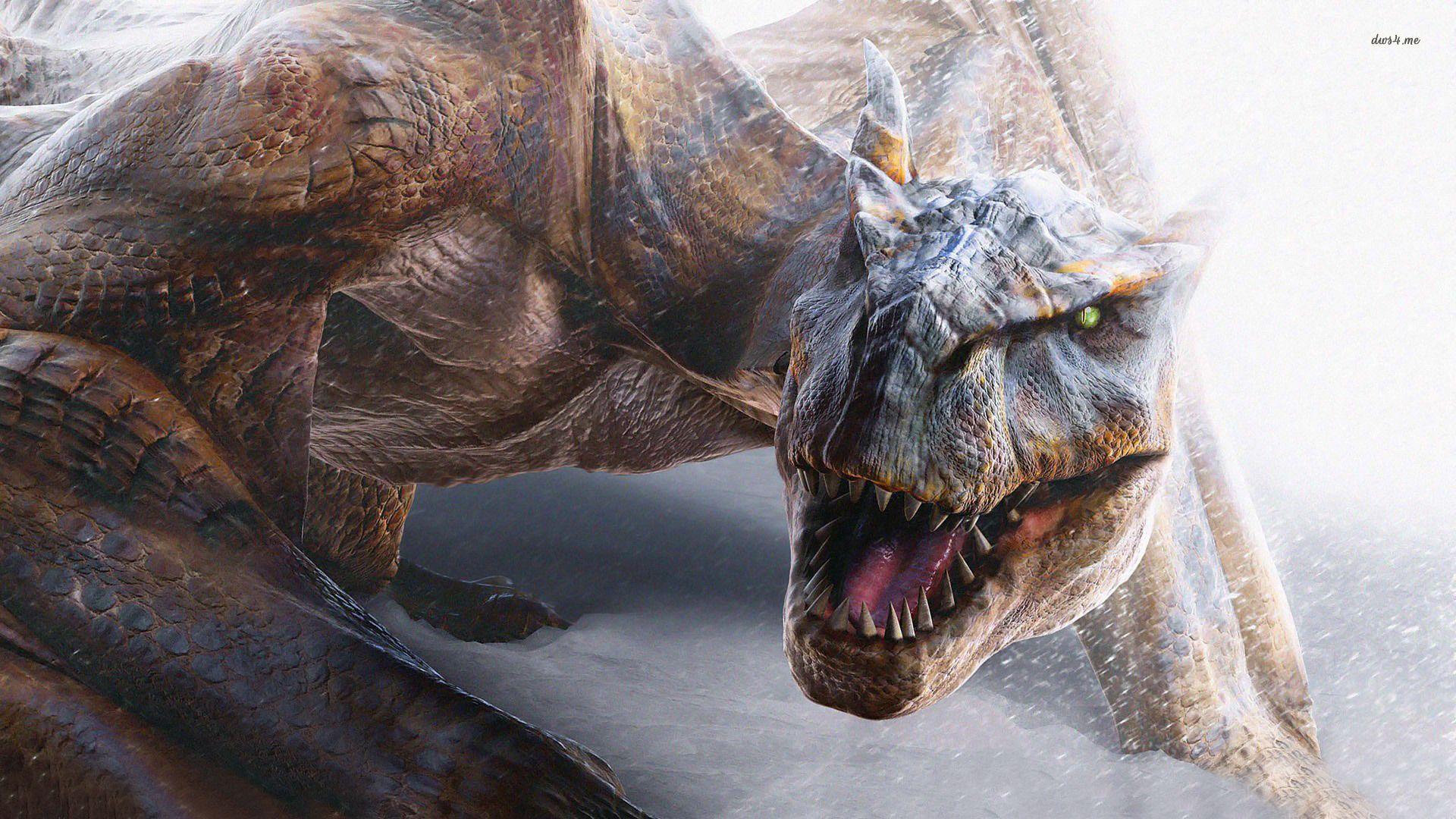 Monster Hunter Freedom Wallpapers - Wallpaper Cave