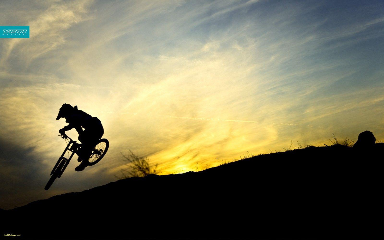 Alpinestar Dh Wallpapers - Wallpaper Cave