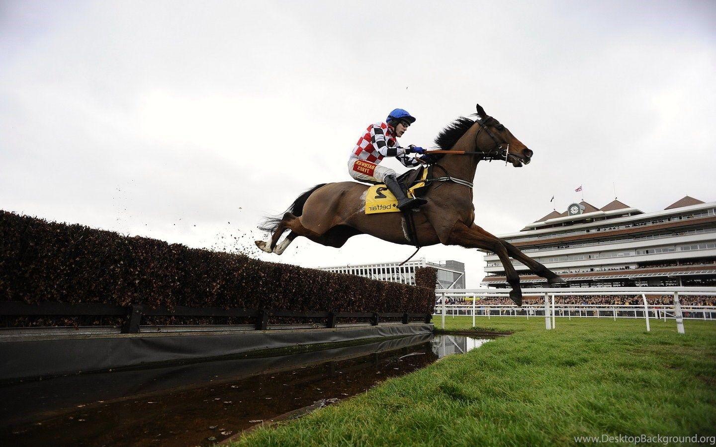 Horse Riding Wallpapers Free - Wallpaper Cave