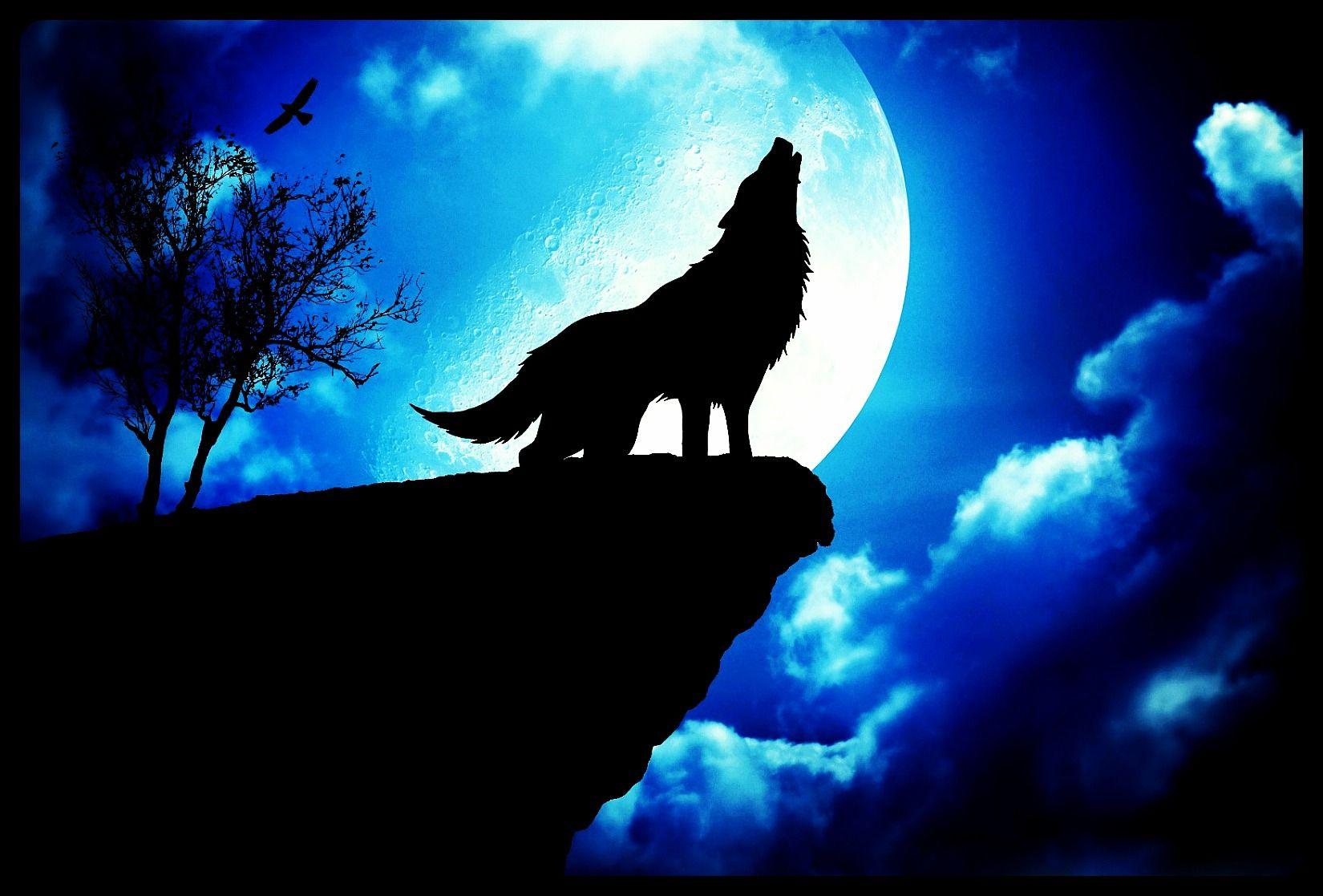 Wolf Wallpapers Blue - Wallpaper Cave