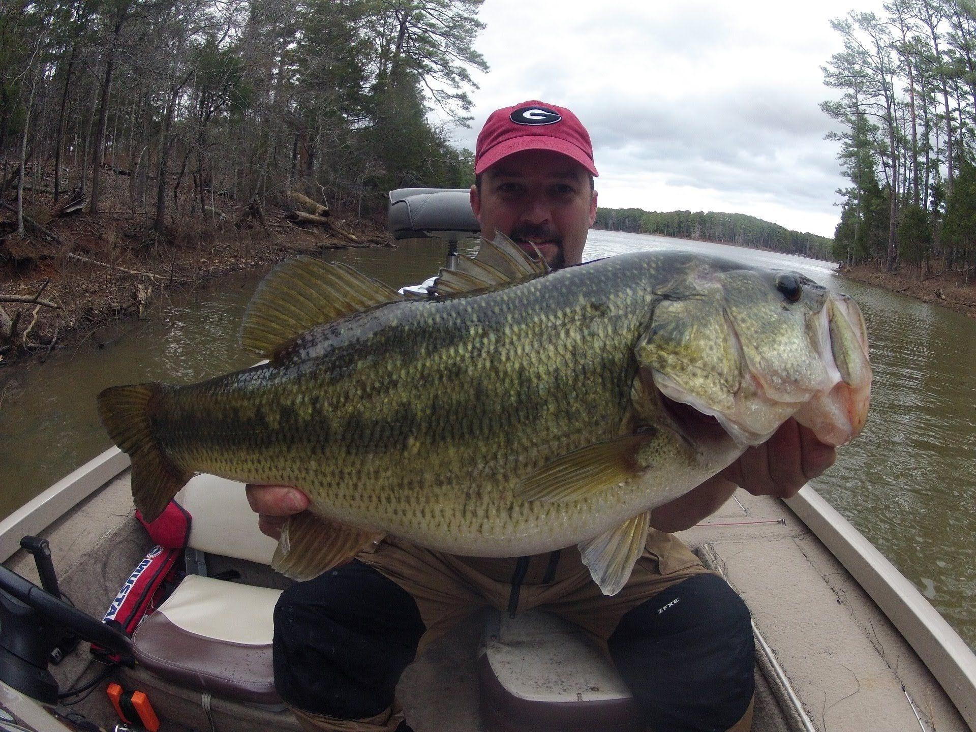 Wallpapers Of Fish Bass - Wallpaper Cave