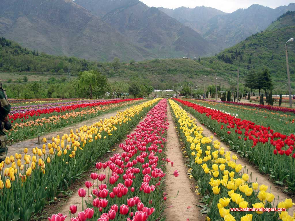 Kashmir Tourism Free Wallpapers - Wallpaper Cave