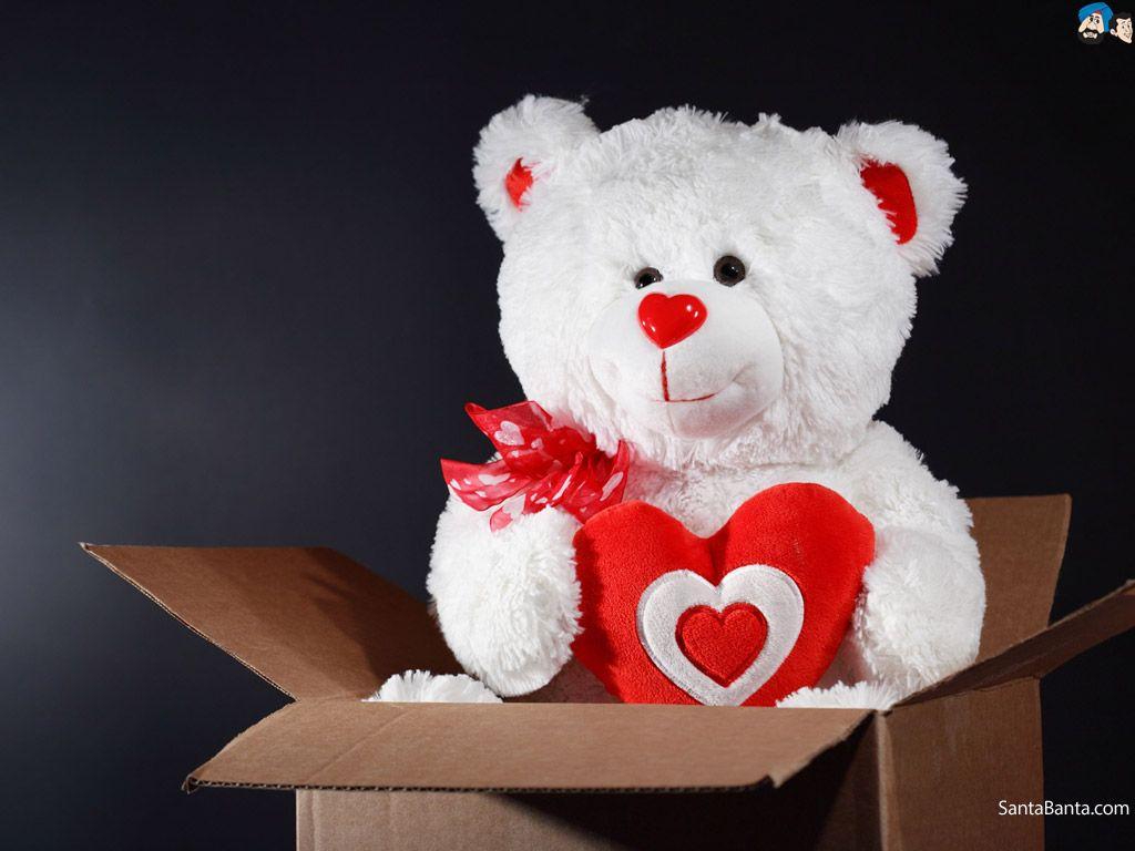 Free Teddy Full HD Wallpapers - Wallpaper Cave