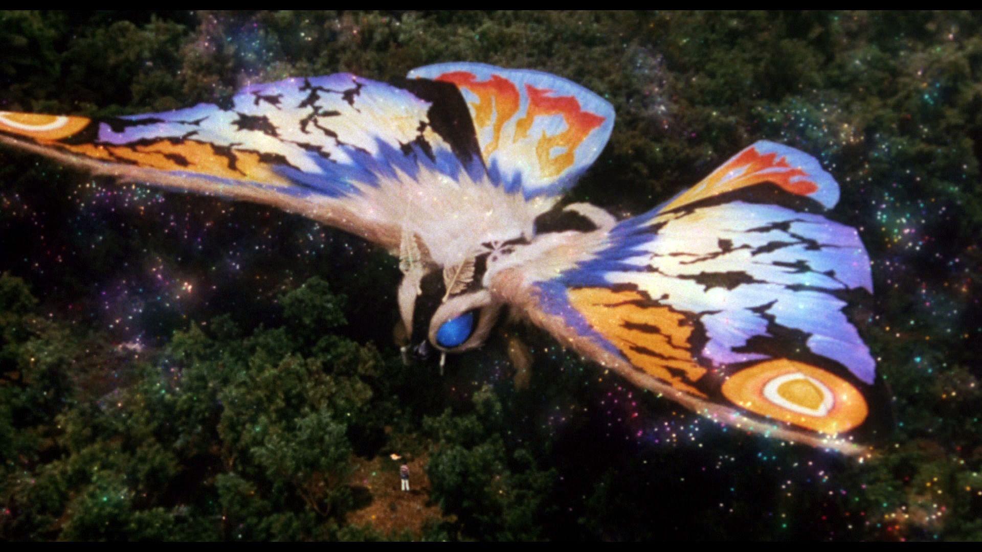 Mothra Wallpapers - Wallpaper Cave