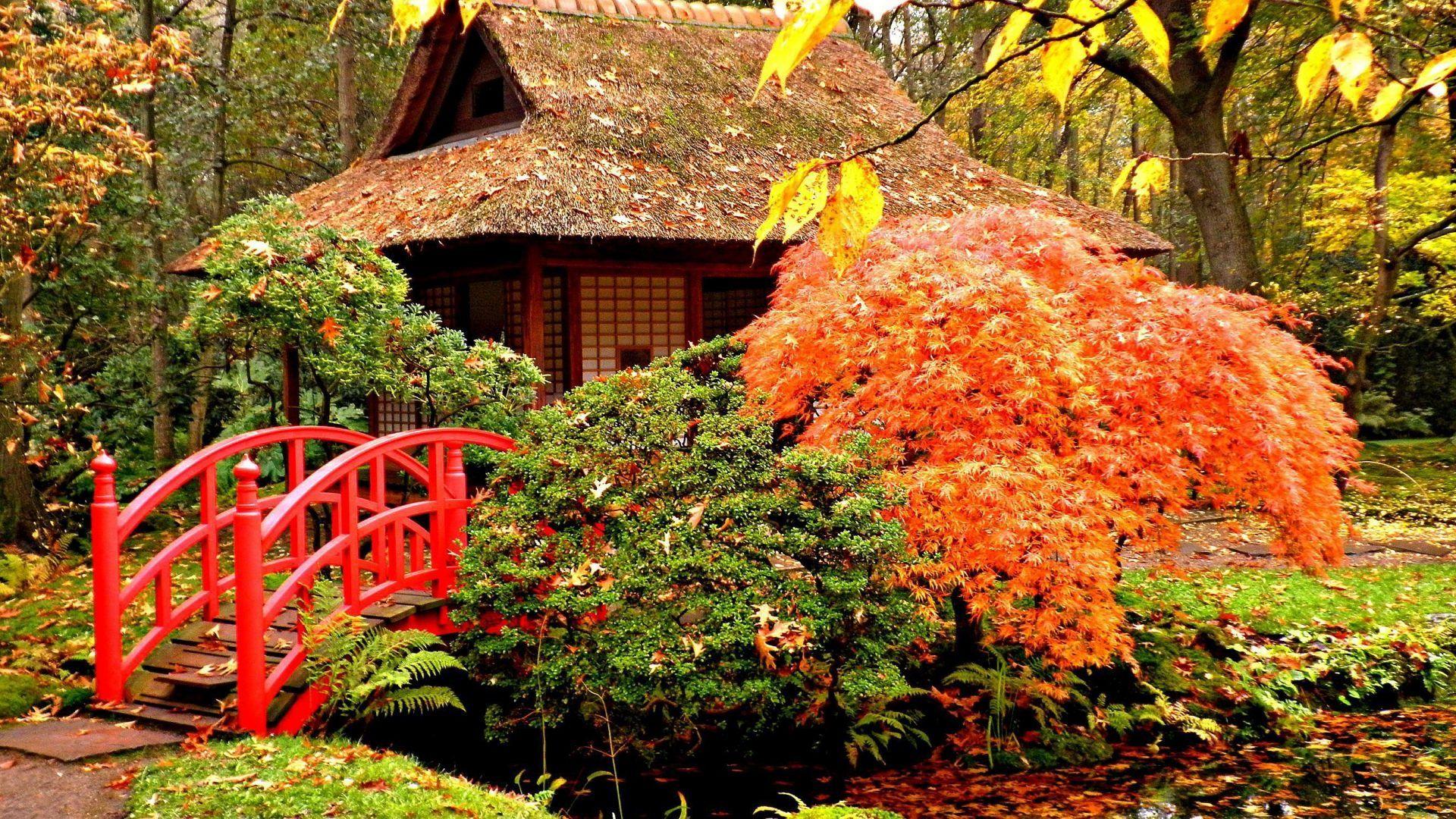 Hut Backgrounds - Wallpaper Cave