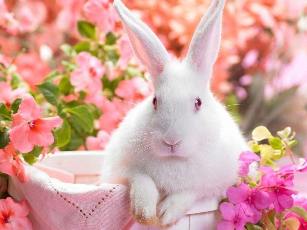 Love Able Wallpapers - Wallpaper Cave