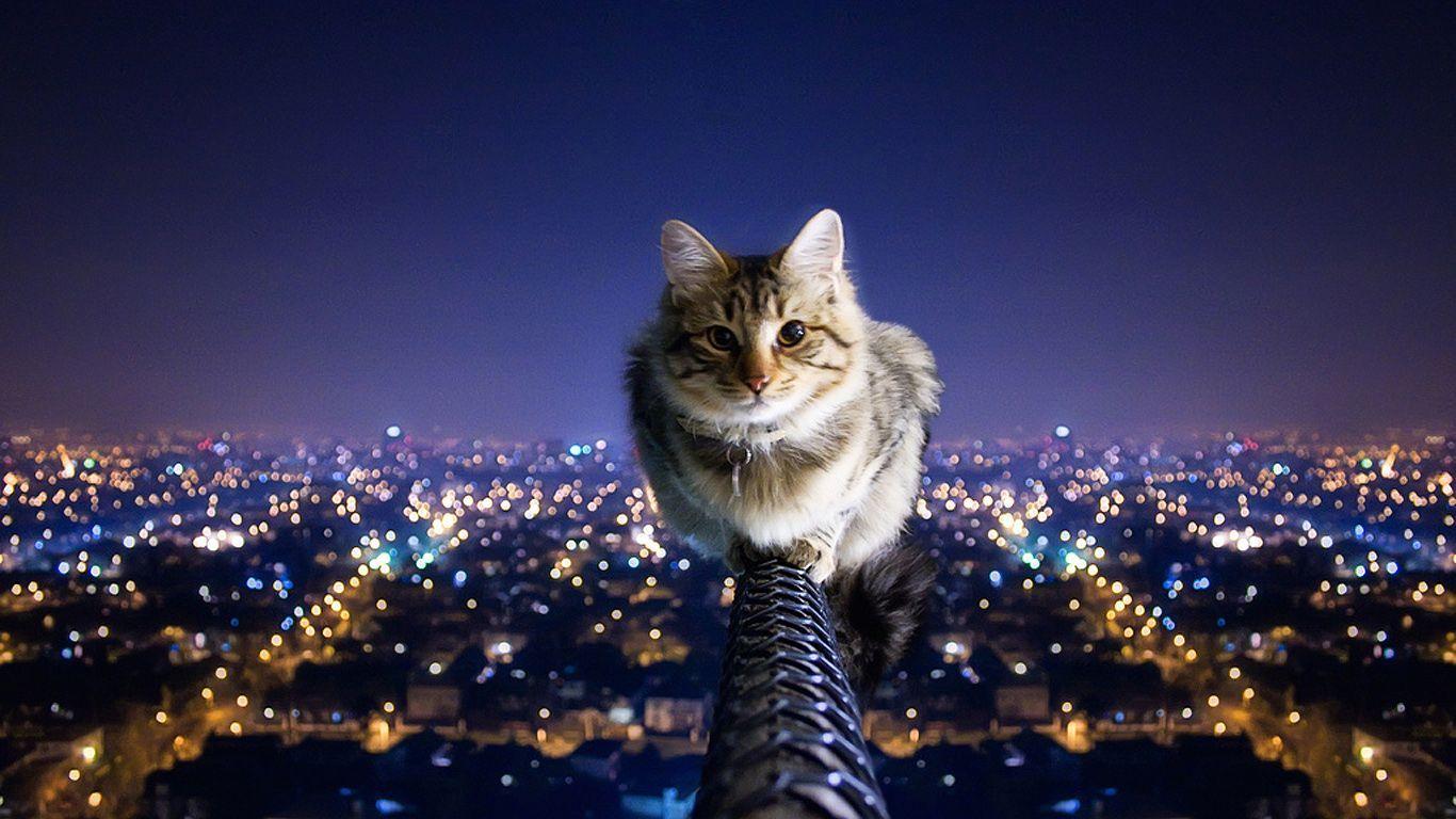 High Defination Wallpapers - Wallpaper Cave