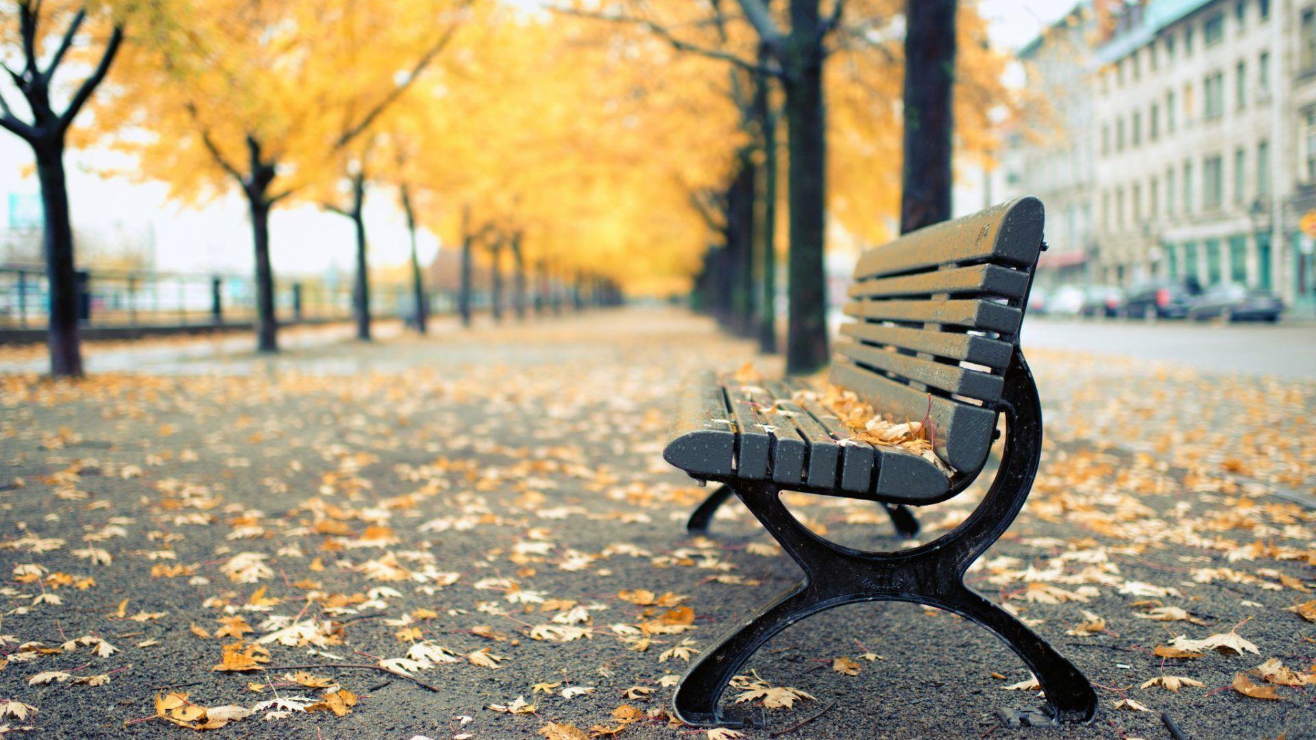 Cute Bench Wallpapers - Wallpaper Cave