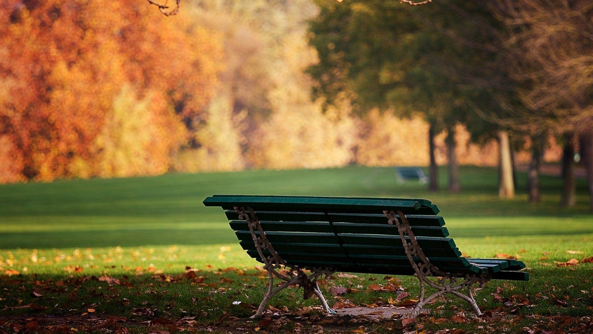 Cute Bench Wallpapers - Wallpaper Cave