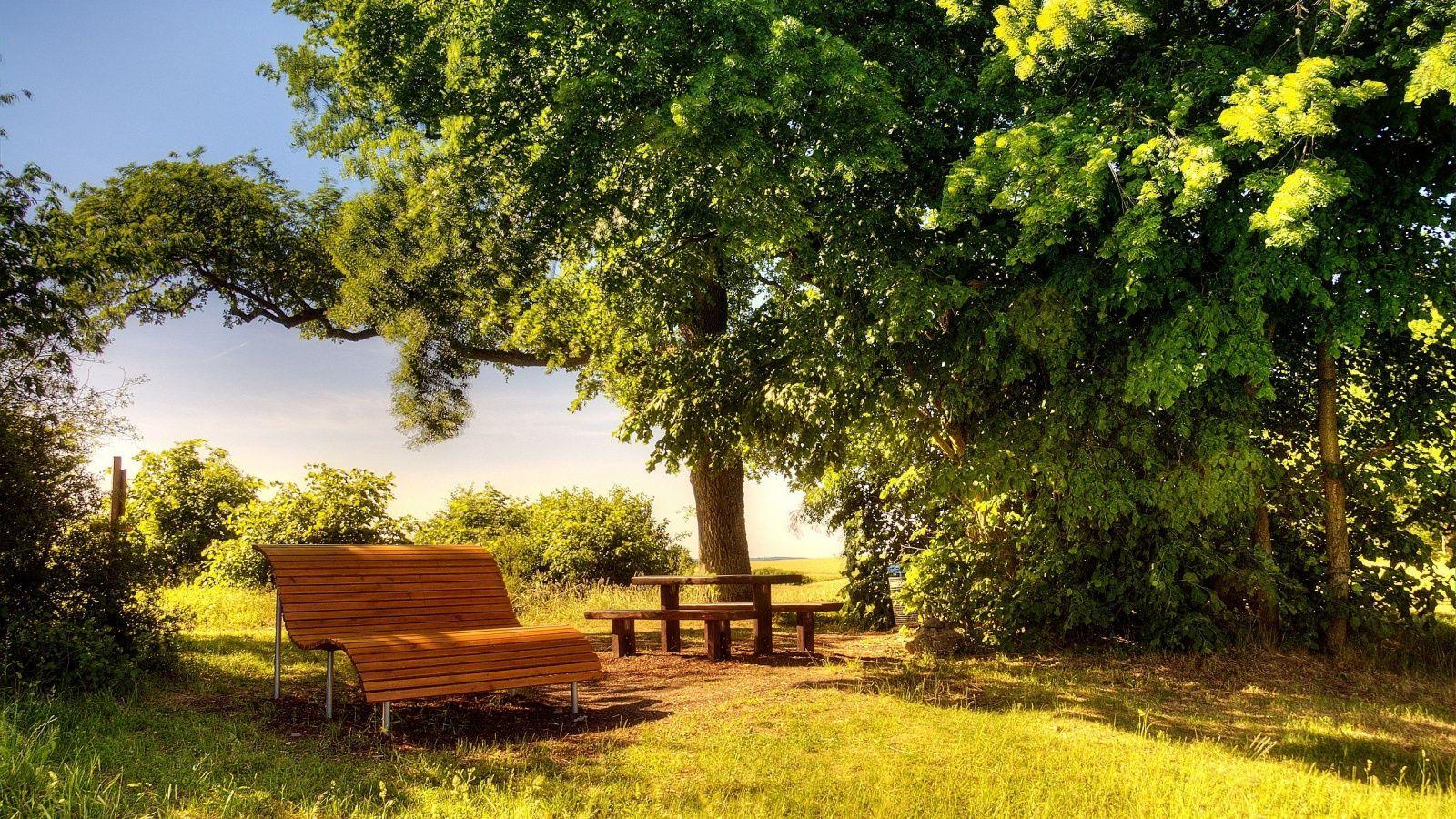 Cute Bench Wallpapers - Wallpaper Cave