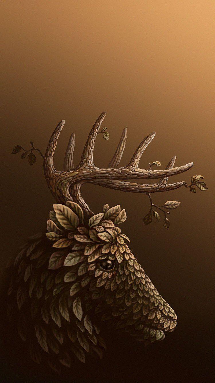 Top 50 Best Wallpapers - Wallpaper Cave