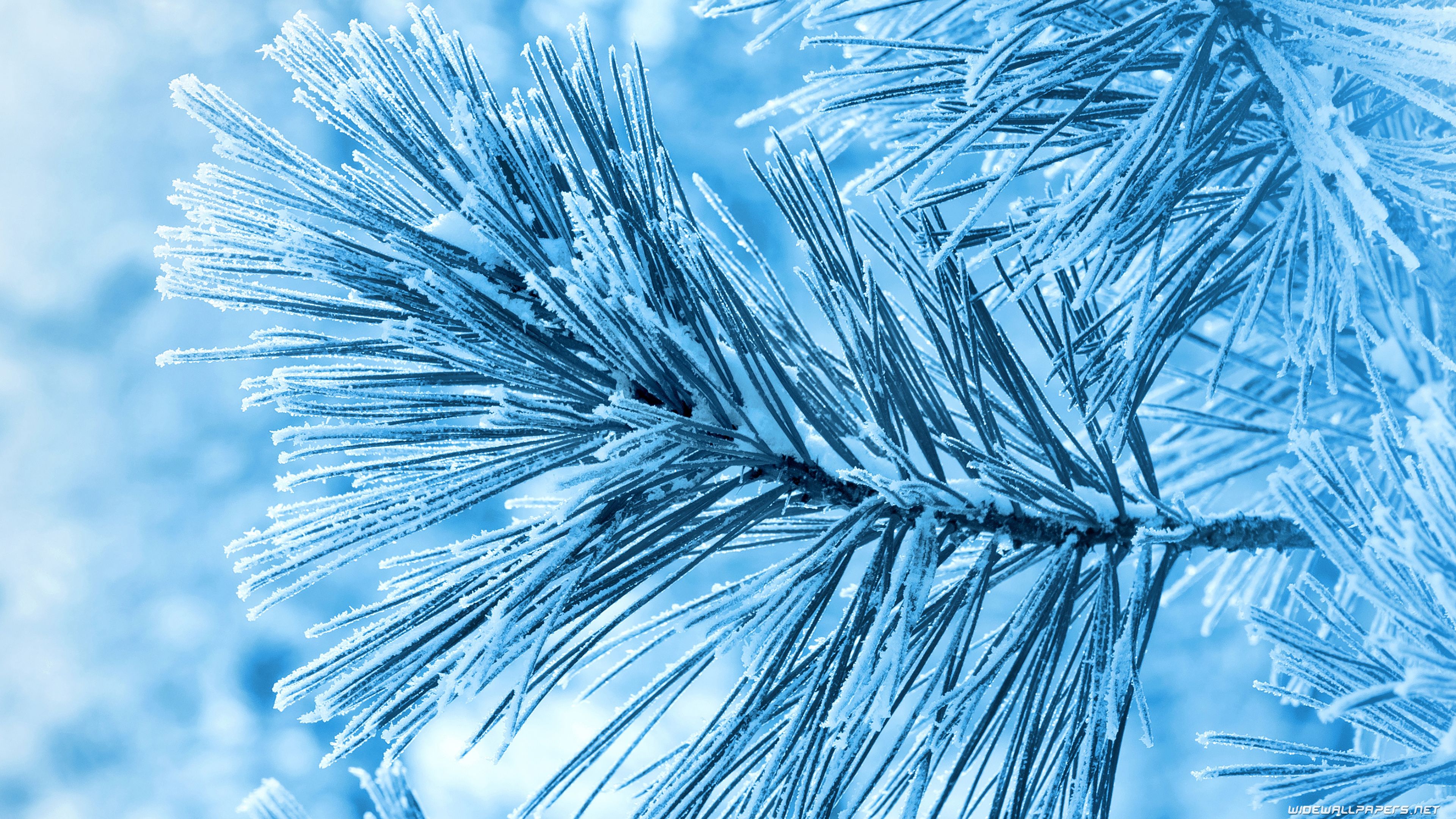 Winter Desktop Background Images - Wallpaper Cave