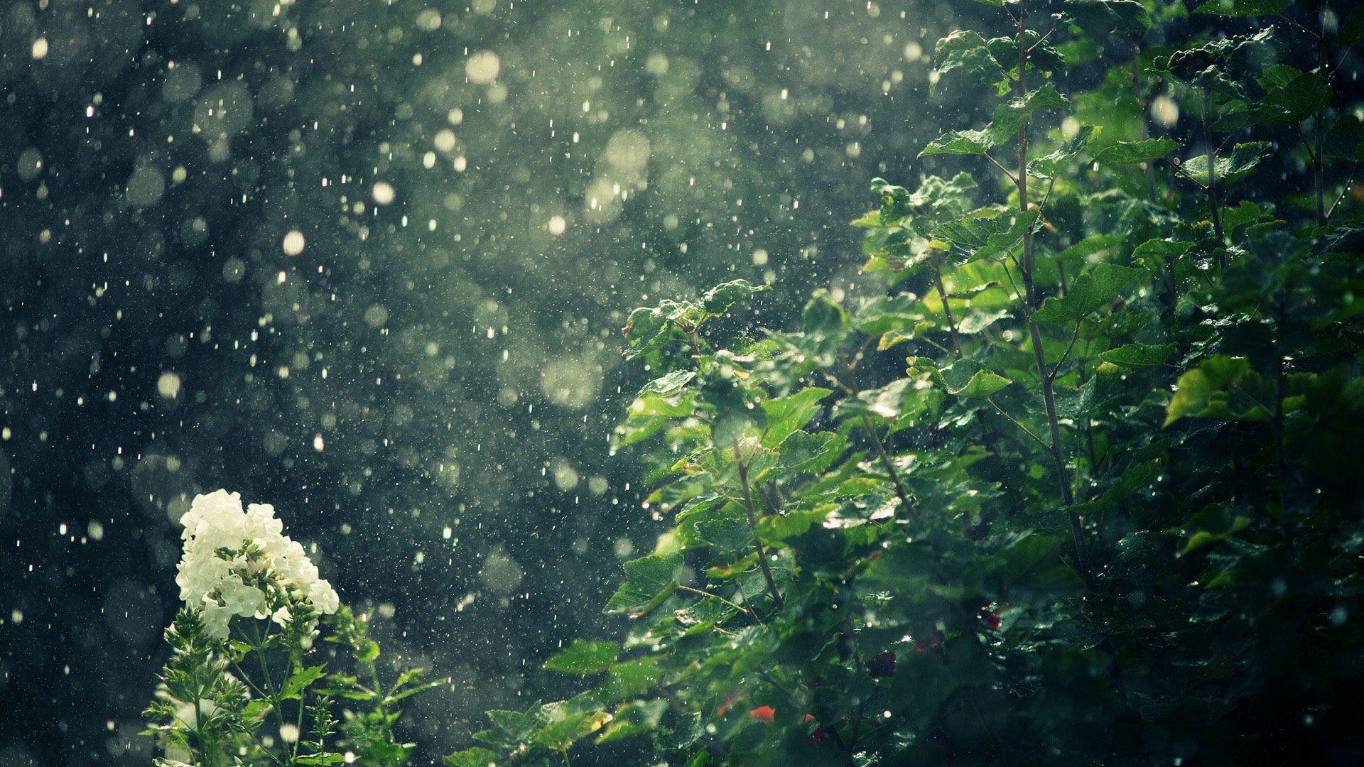 Mansoon Wallpapers - Wallpaper Cave