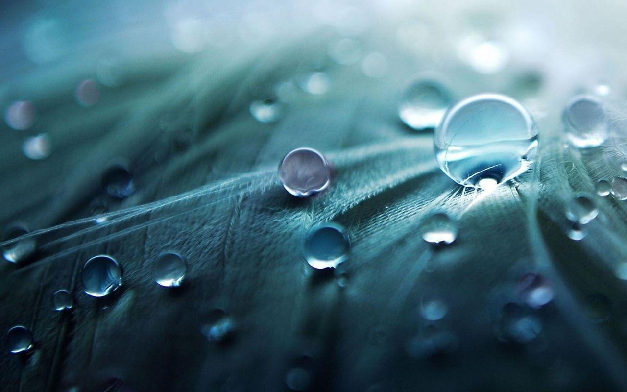 Top Rated Newest Wallpapers - Wallpaper Cave