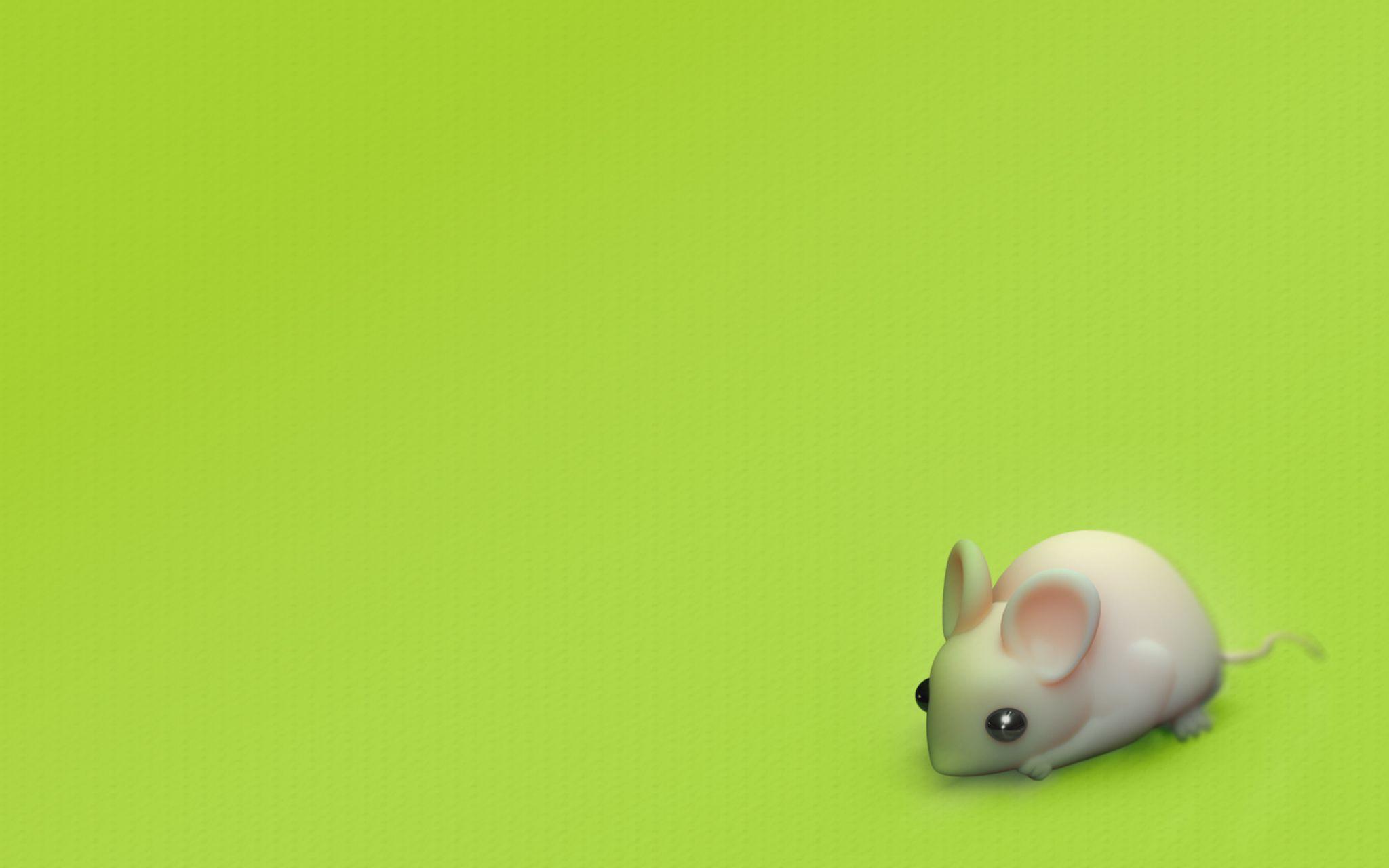 Mouse Wallpapers - Wallpaper Cave