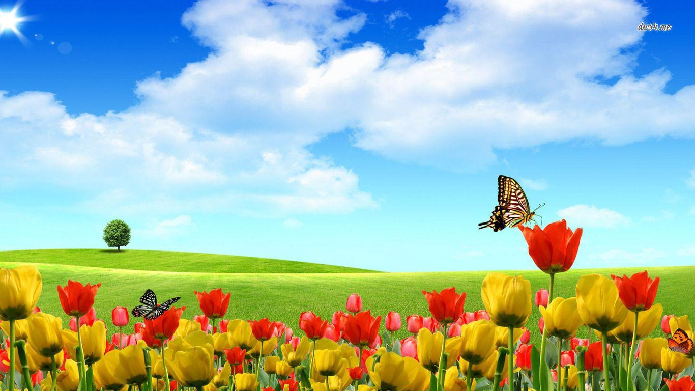 Summer Nature Backgrounds - Wallpaper Cave