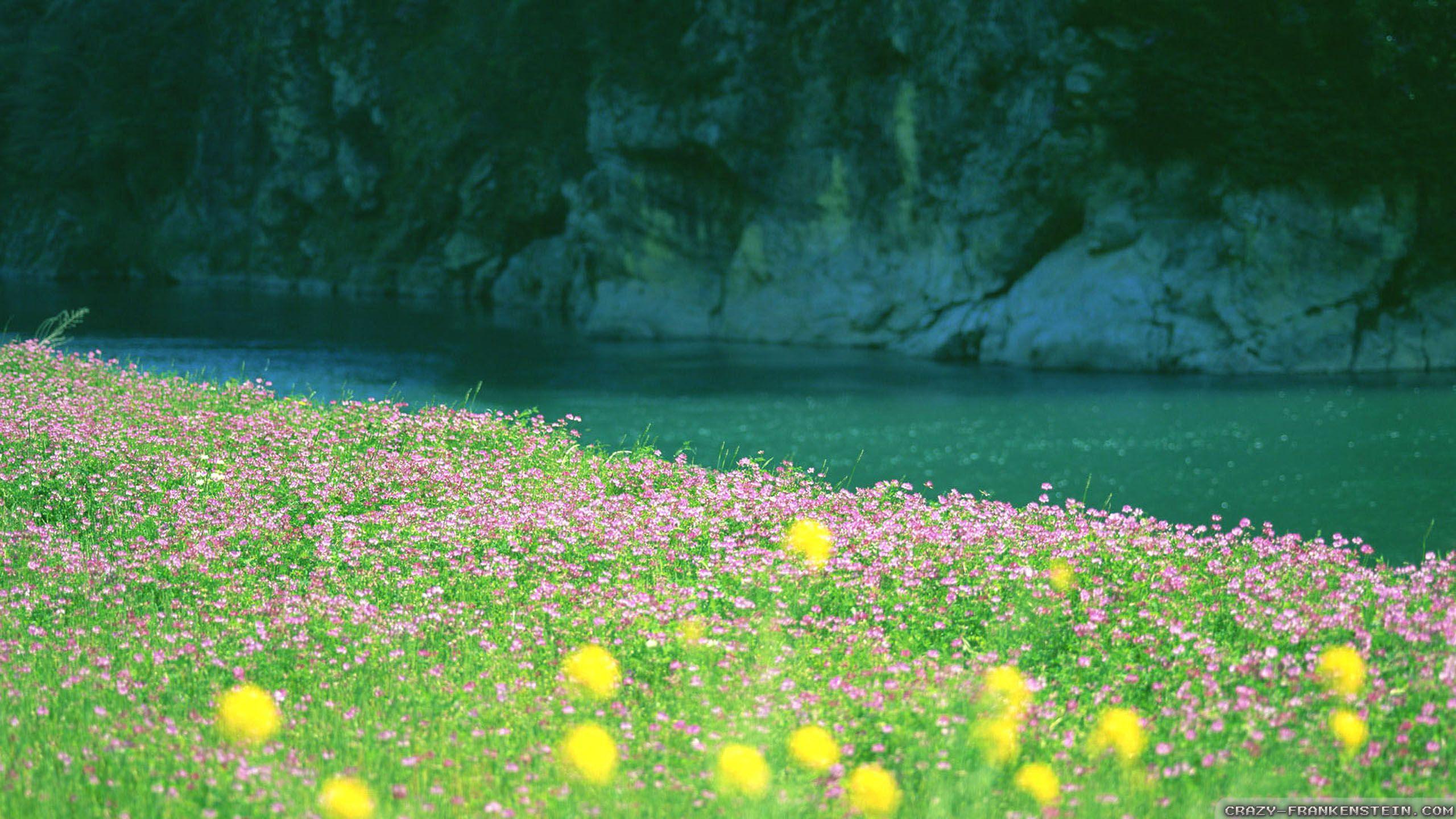 Summer Nature Backgrounds - Wallpaper Cave