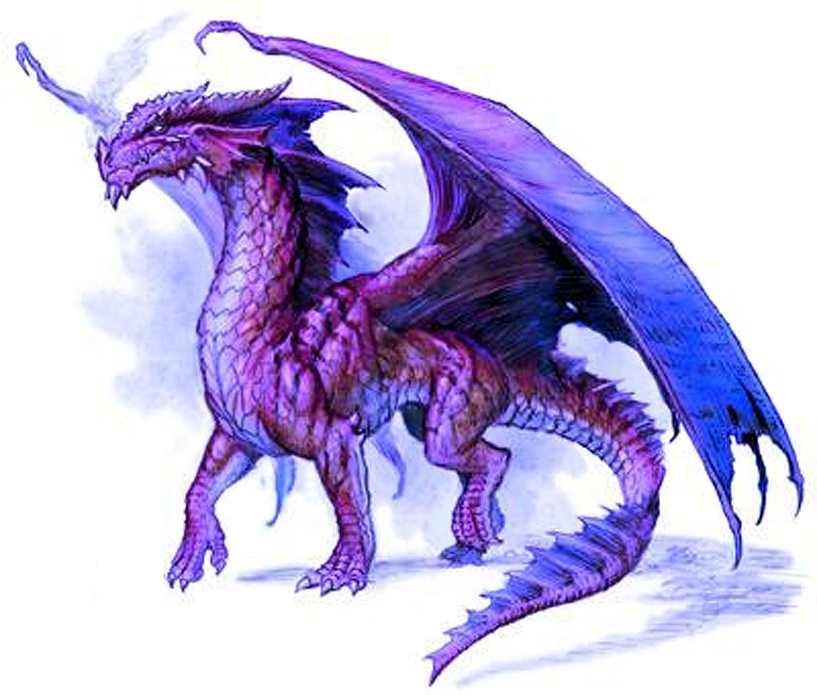 Violet Dragon 3D Wallpapers - Wallpaper Cave