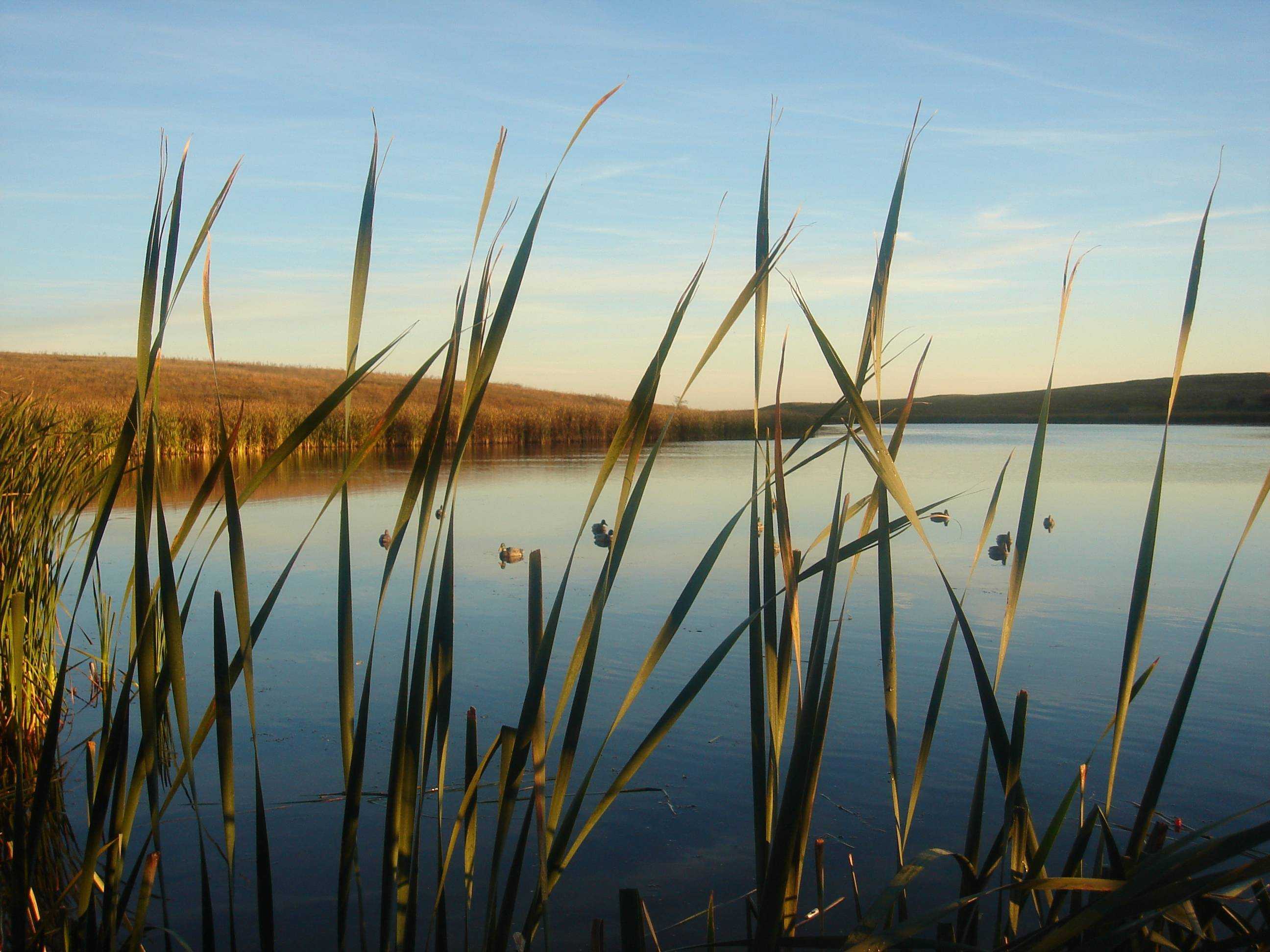 Duck Hunting Backgrounds - Wallpaper Cave