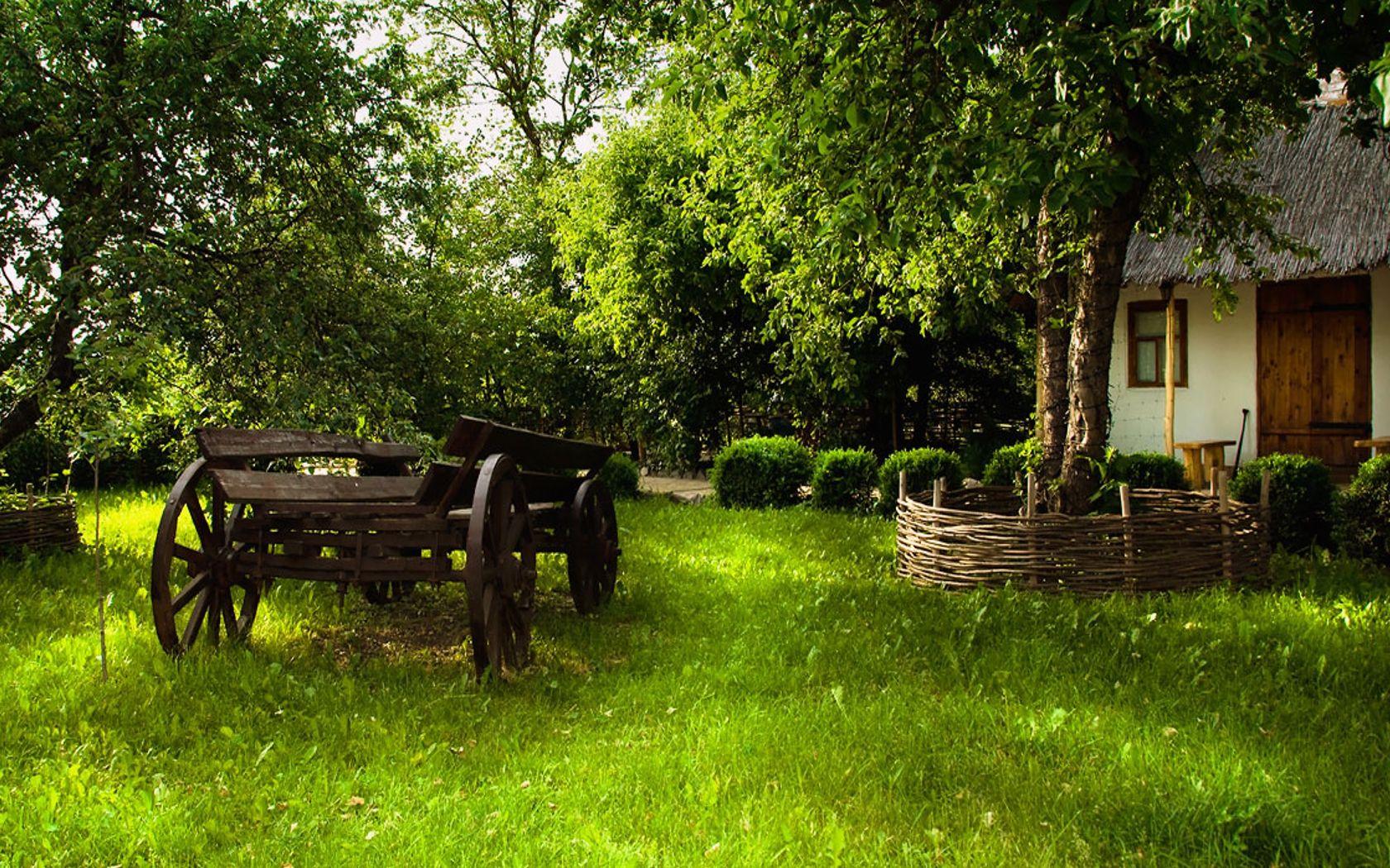 Tree Computer Wallpapers - Wallpaper Cave