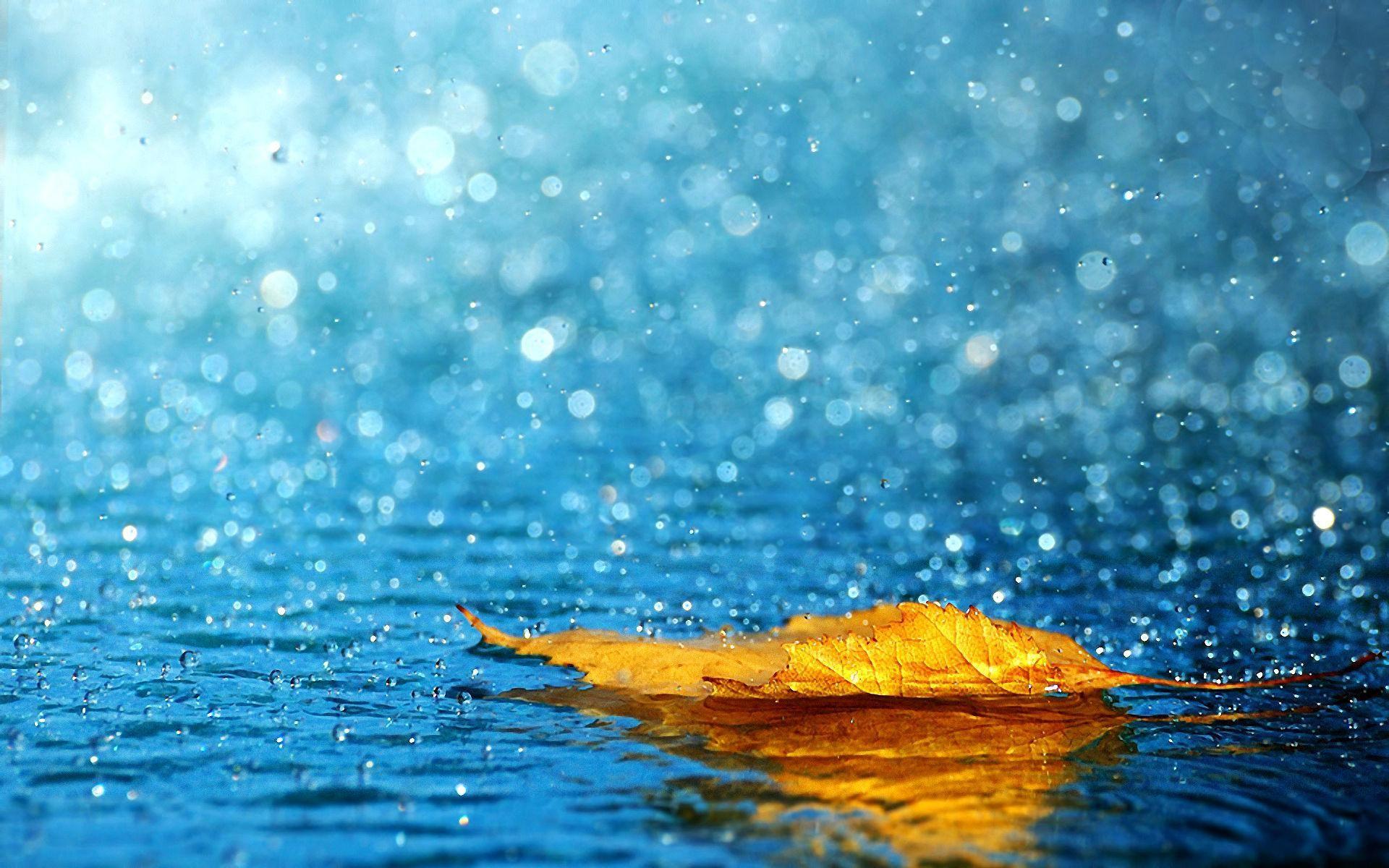 Happy Monsoon HD Wallpapers - Wallpaper Cave