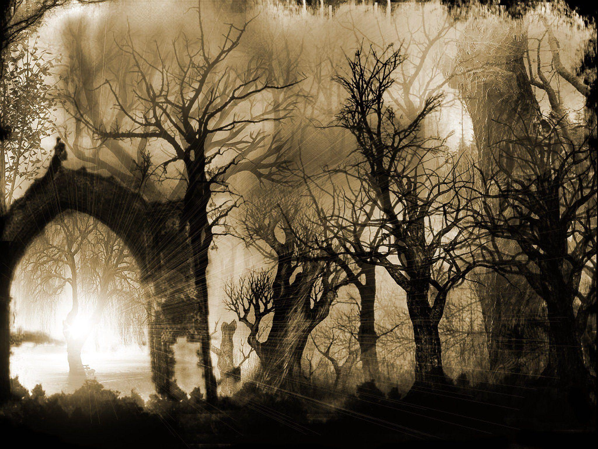 Hollow Wallpapers - Wallpaper Cave