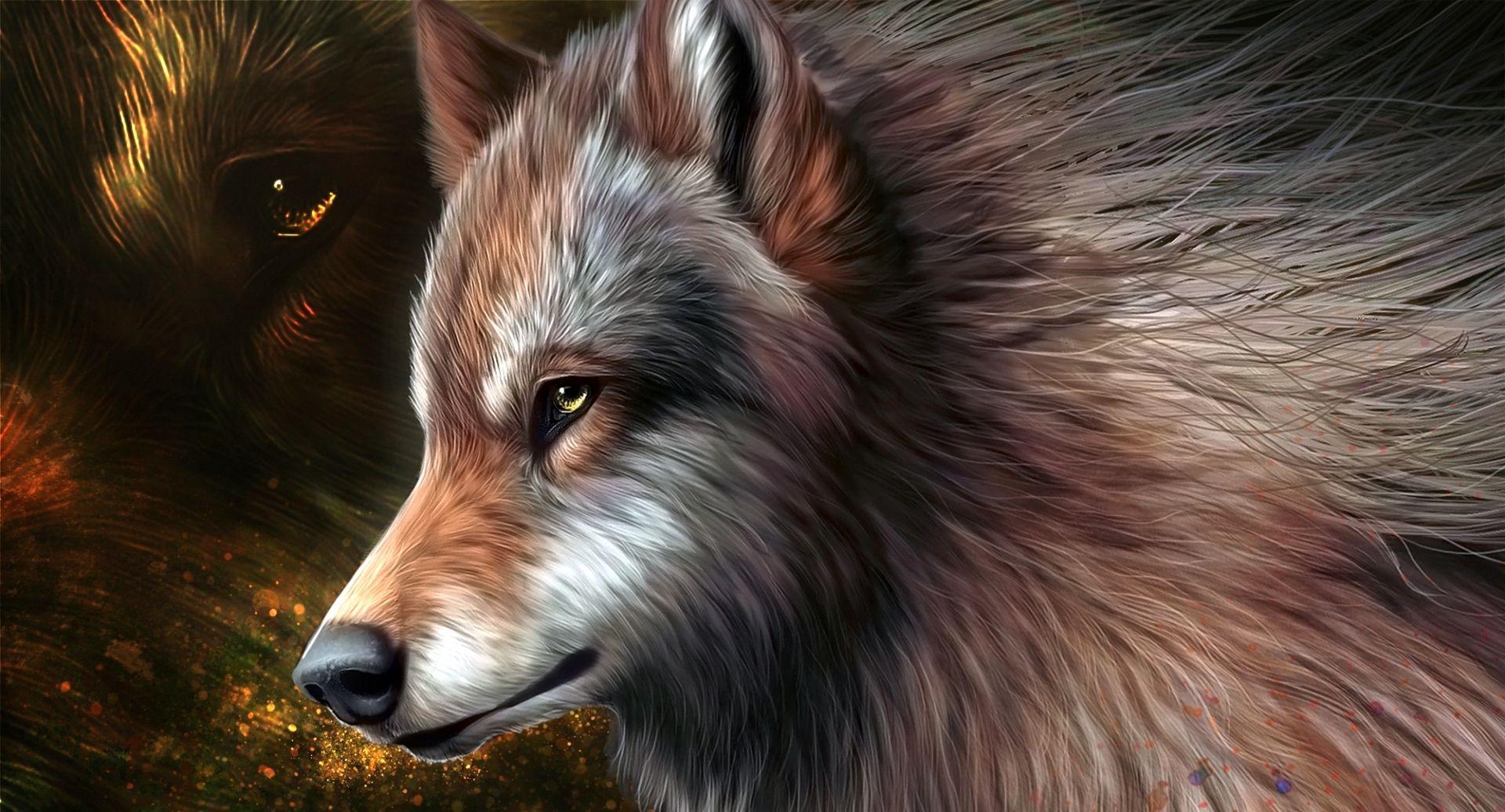 Lobos Salvajes Wallpapers HD - Wallpaper Cave