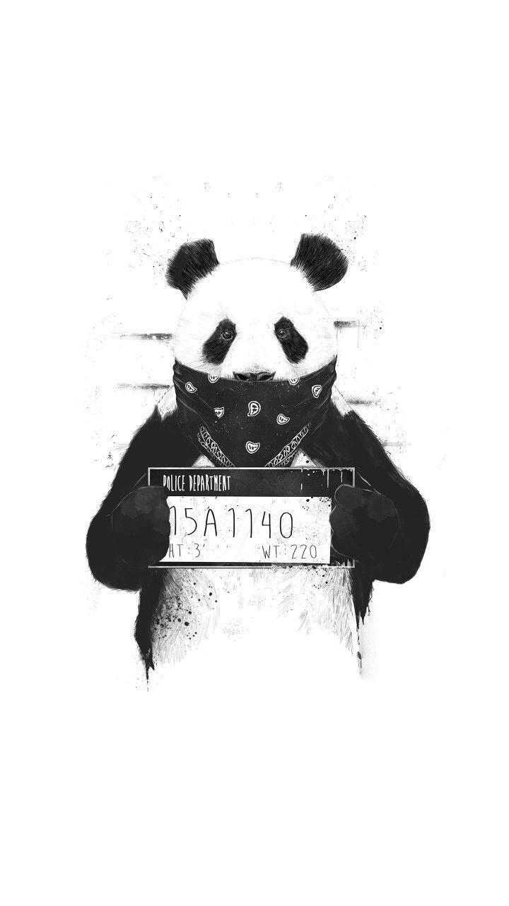 Wallpapers Panda Scream - Wallpaper Cave