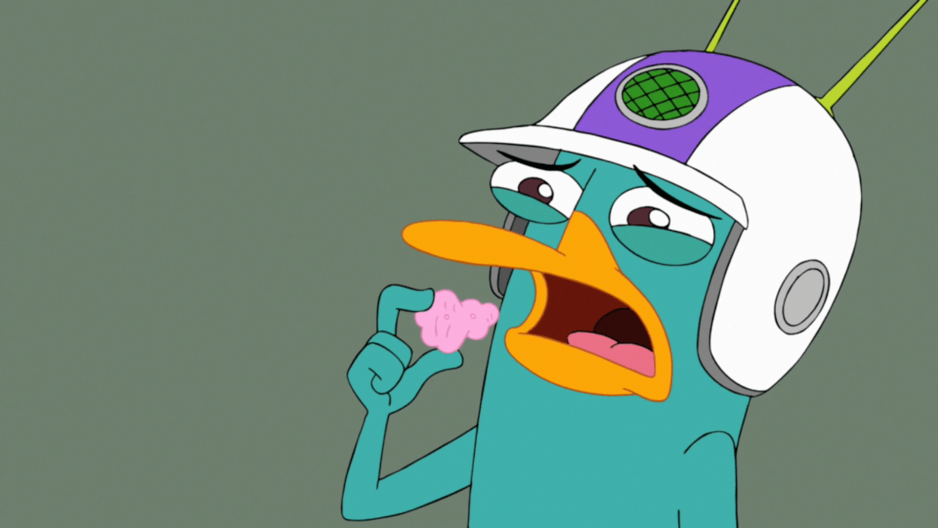 Baby Perry The Platypus Wallpapers - Wallpaper Cave