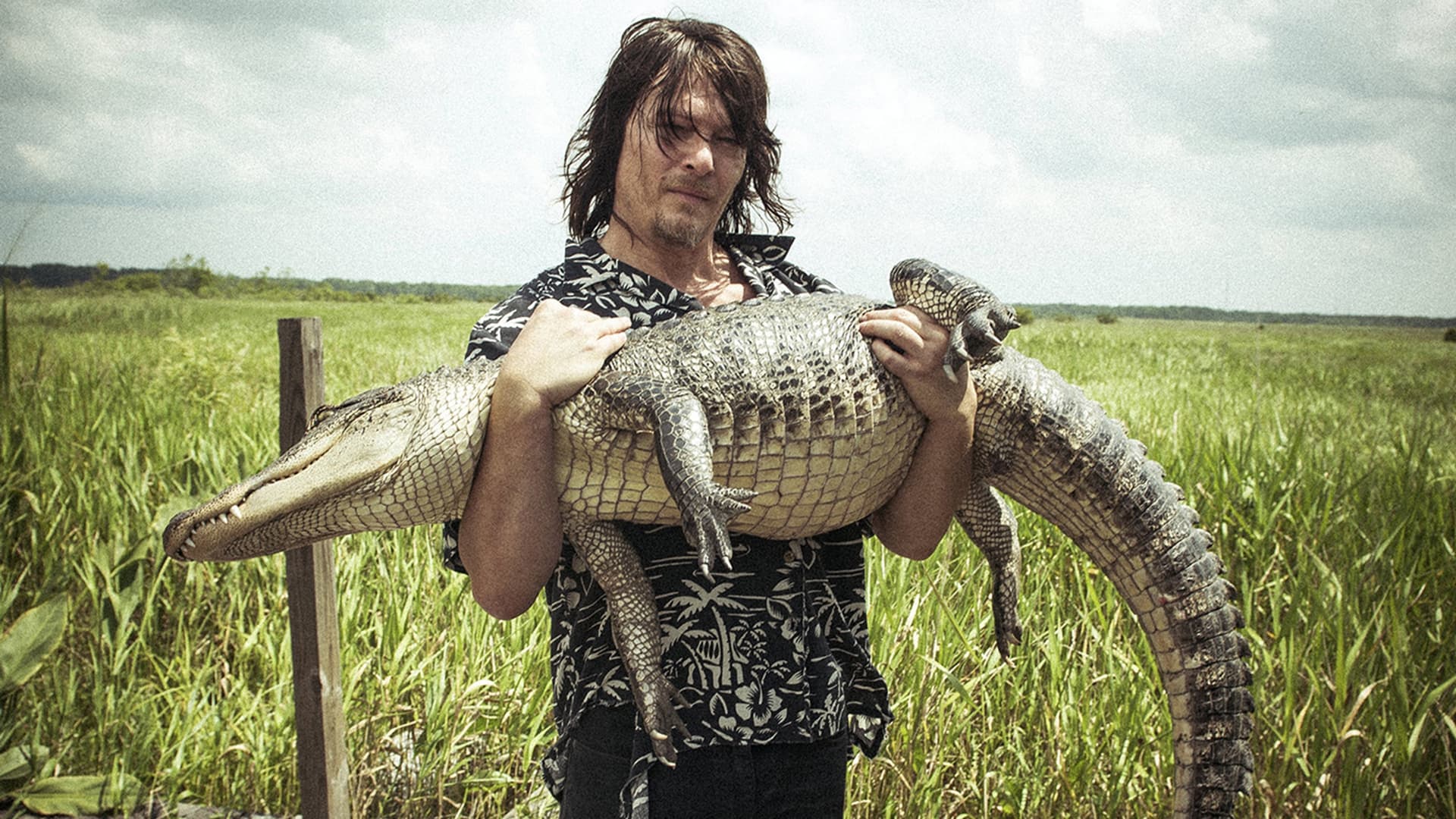 Norman Reedus Desktop Wallpapers - Wallpaper Cave