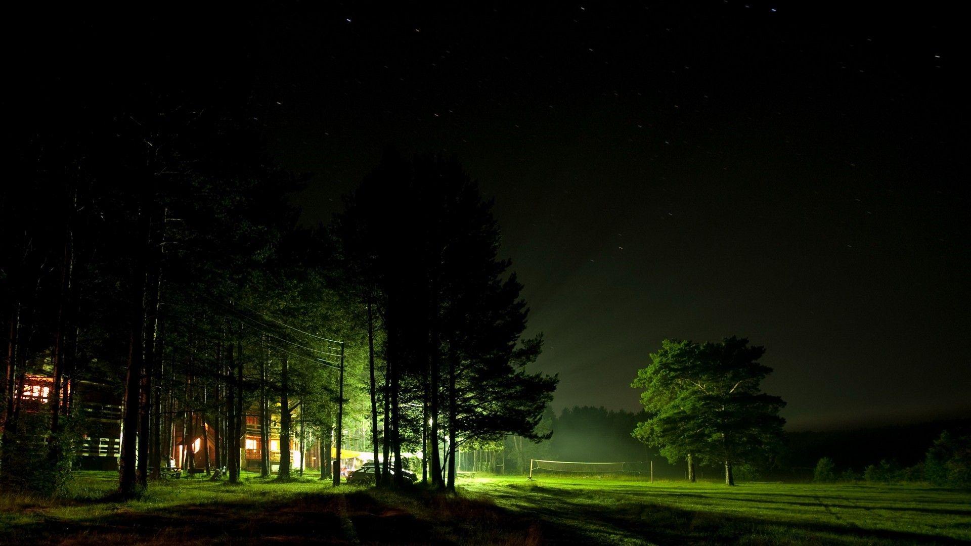 Inside Forest Night HD Wallpapers For Desktop - Wallpaper Cave