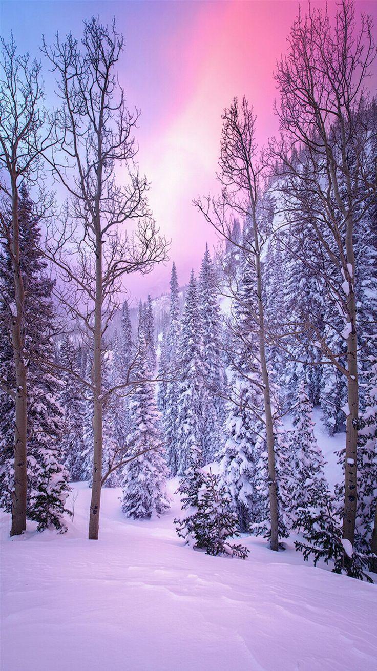 Winter Nature Backgrounds - Wallpaper Cave