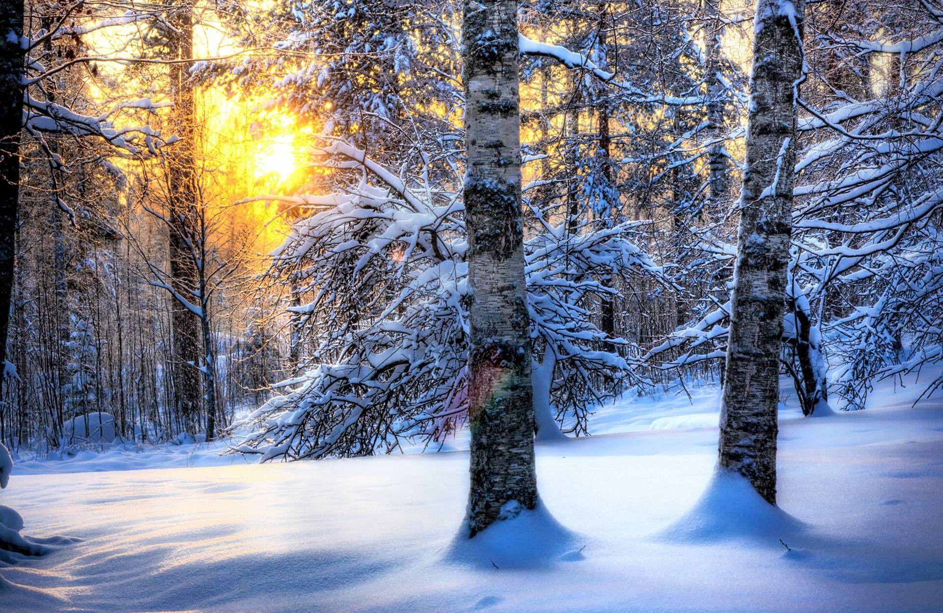Winter Nature Backgrounds - Wallpaper Cave