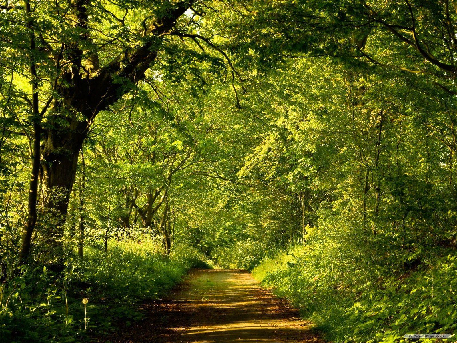 Best Computer Wallpapers - Wallpaper Cave