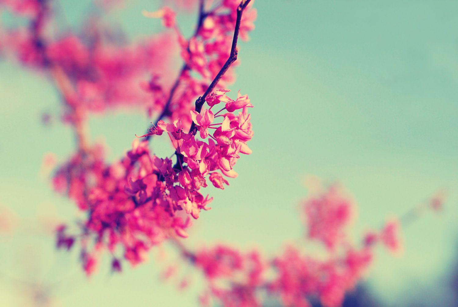 Vintage Flowers Desktop Wallpapers - Wallpaper Cave