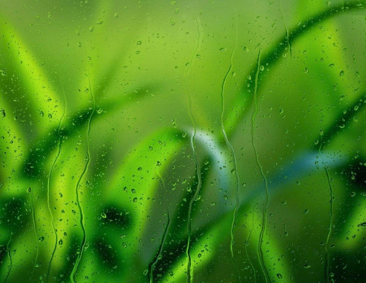 Latest Monsoon Wallpapers - Wallpaper Cave