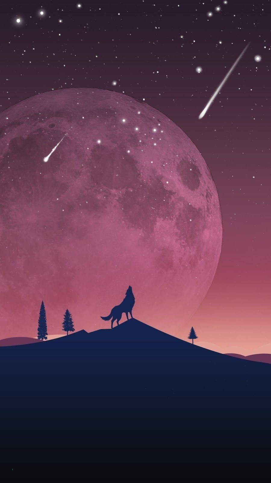 Wolfs Wallpapers 192 Pixel - Wallpaper Cave