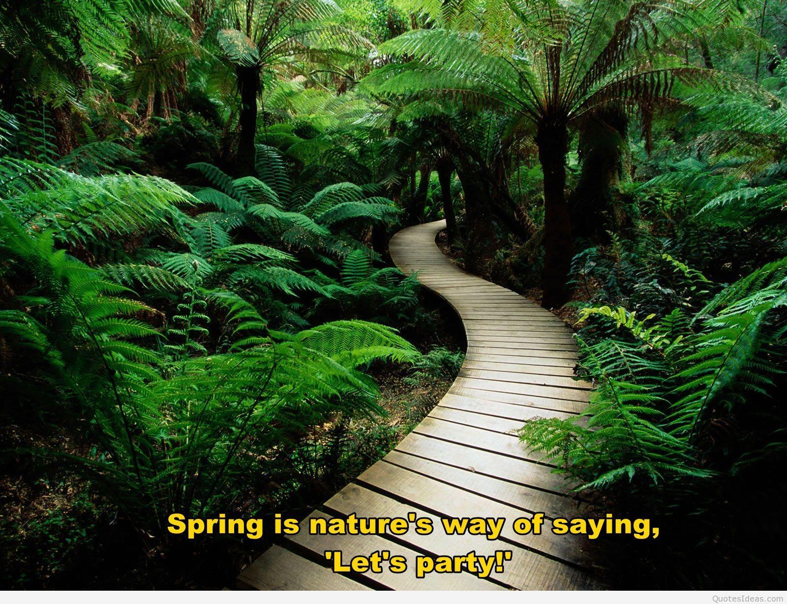 Nice Nature Wallpapers With Quotes - Wallpaper Cave