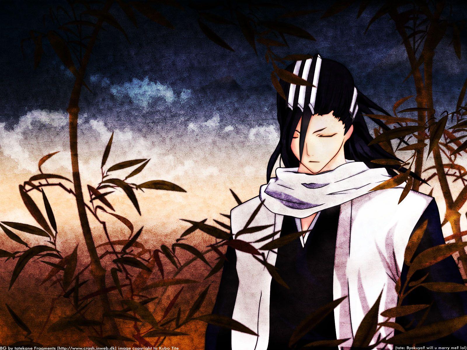 Bleach Byakuya Wallpapers - Wallpaper Cave